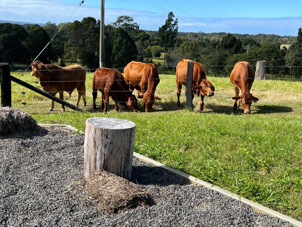 Kin Kin Farm | Noosa Hinterland Accommodation